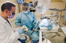 Residency Program | UW Department of Neurological Surgery